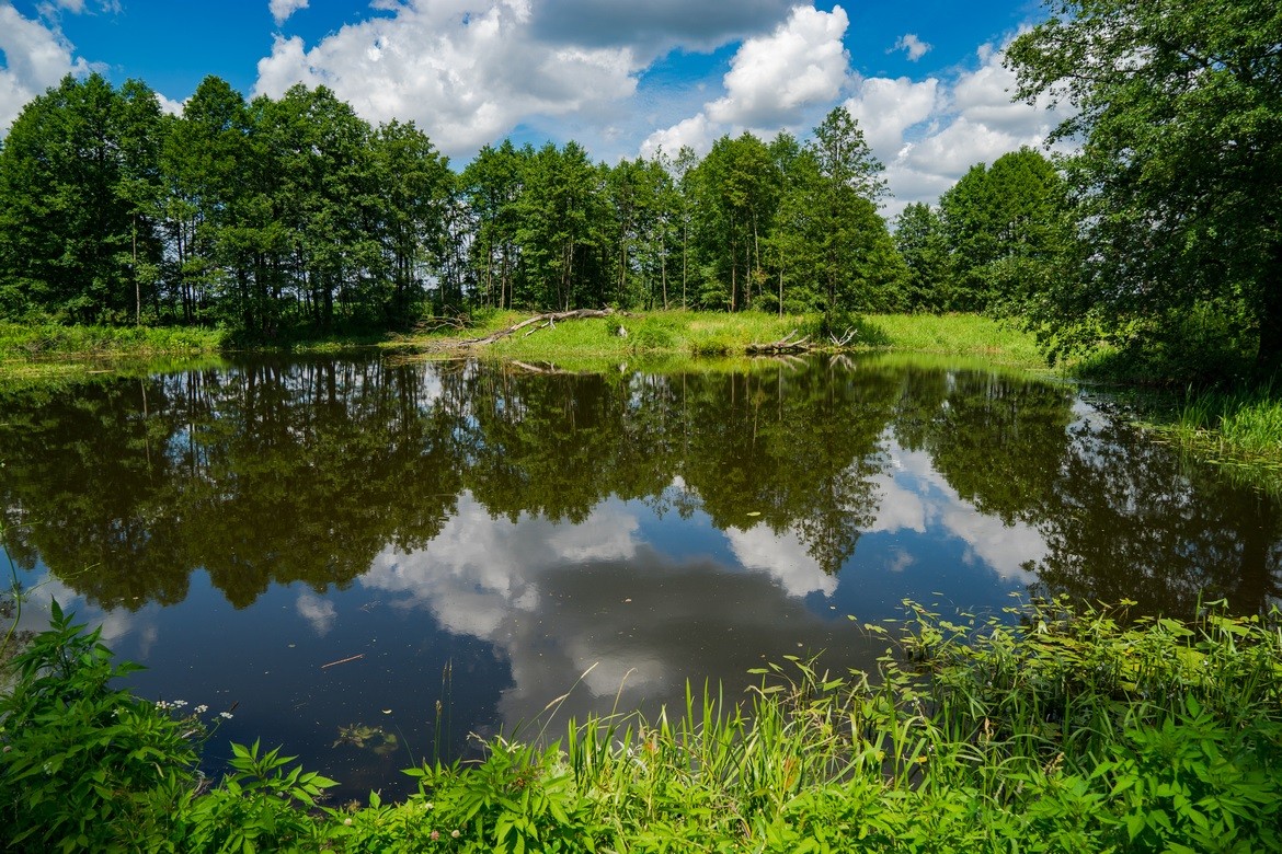Strona główna - Polska Travel (PL)