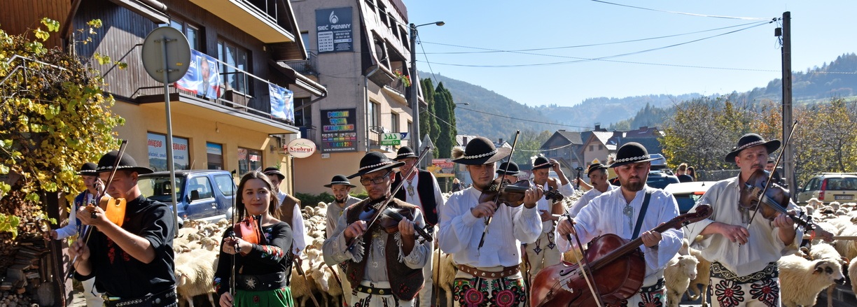 Redyk jesienny 2025 - Polska Travel (PL)